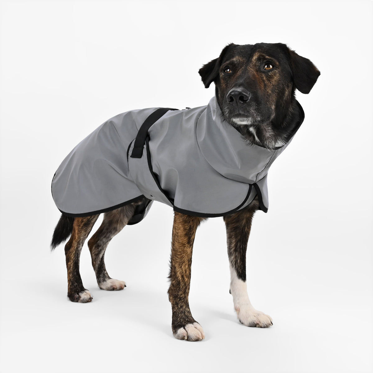 Reflektierender Softshell Hundemantel mit Bauchschutz – THE DOG IDEA